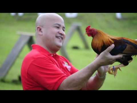 B-MEG INTEGRA POWERMAXX 1 - RED GAMEFARM - YouTube