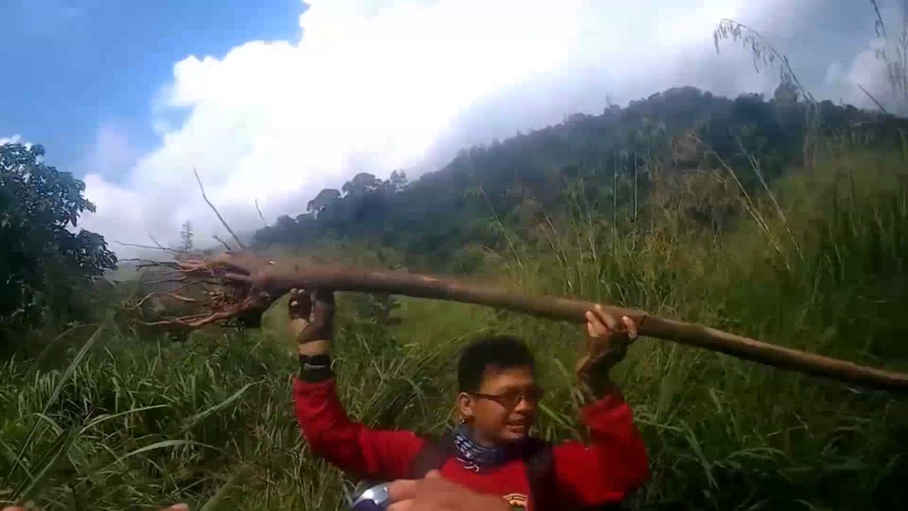 Suku Mante Mantir Uhang pandak Sebabah Gugua lecoh bunian abarimon ...