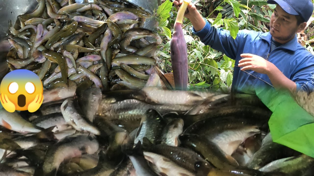 Life in the Unseen Villages of southern KukiLand/Fishing fish 🐟in the ...