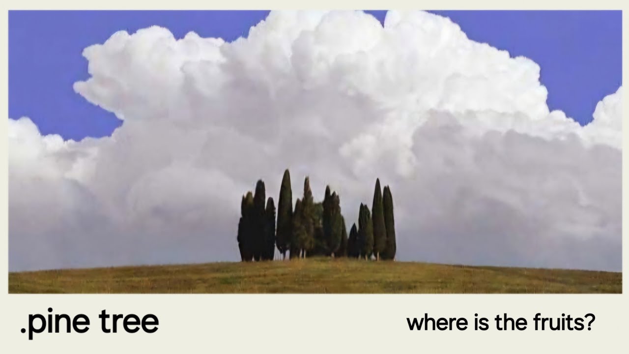 .pine tree - YouTube