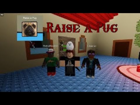 Roblox Raise a Pug Trailer V2 - YouTube
