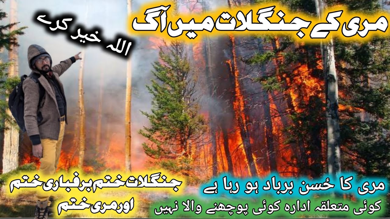 Fire on murree forest / murree live today / murree weather update #snow ...