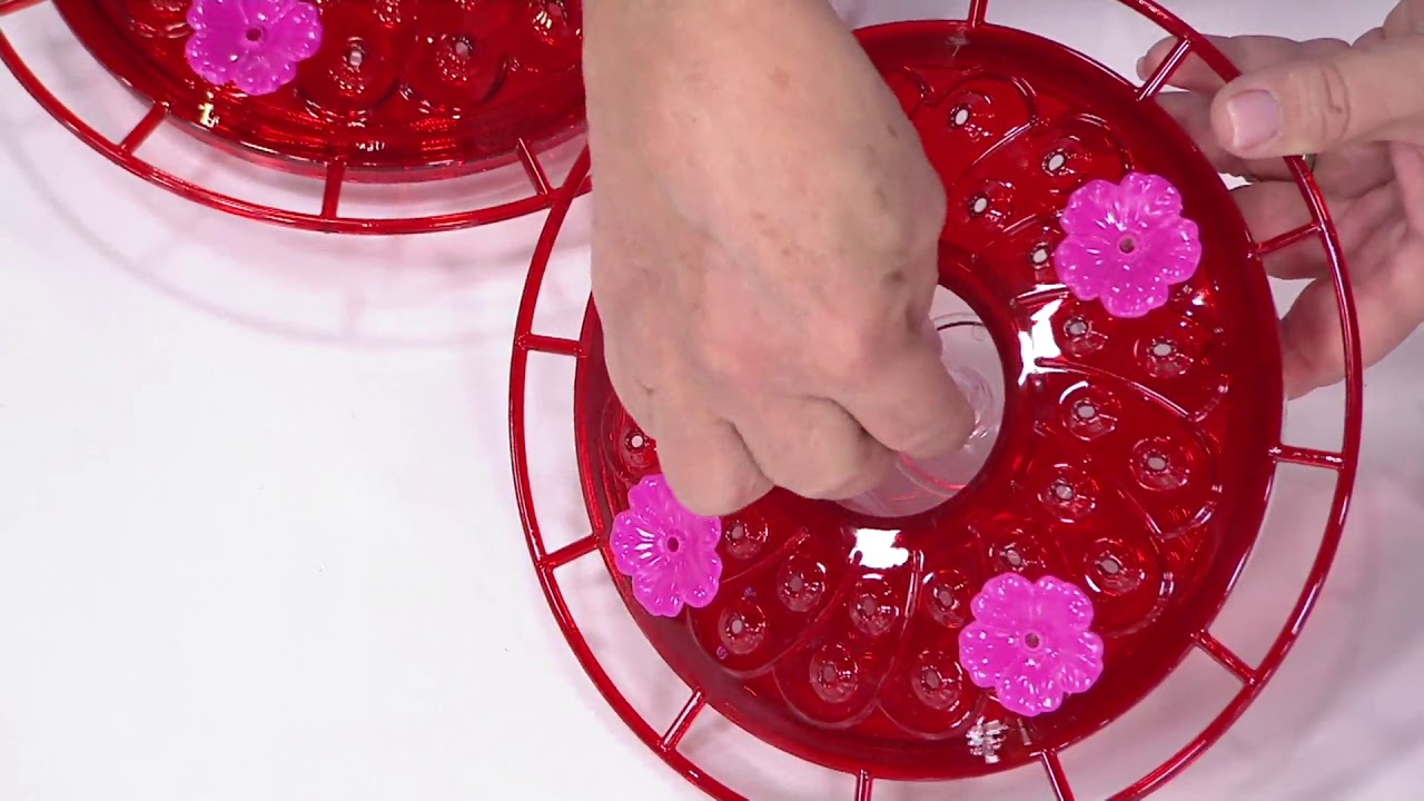 Ultimate Innovations S/2 Stackable Hummingbird Feeders on QVC - YouTube