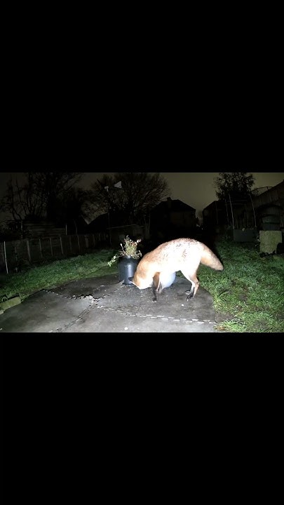 Cold As Ice #youcanthandlethetruth #evileyejewelry #youdontwanttomissout - YouTube