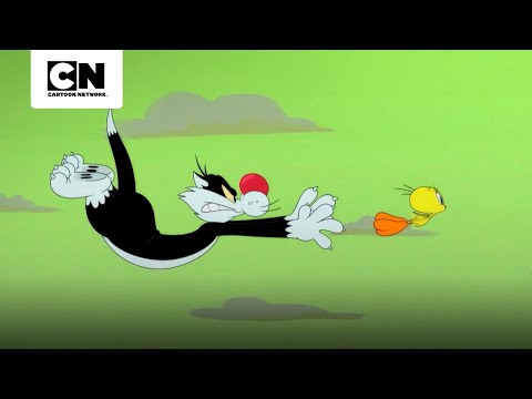 ARRANHANDO O CÉU | LOONEY TUNES CARTOONS | CARTOON NETWORK