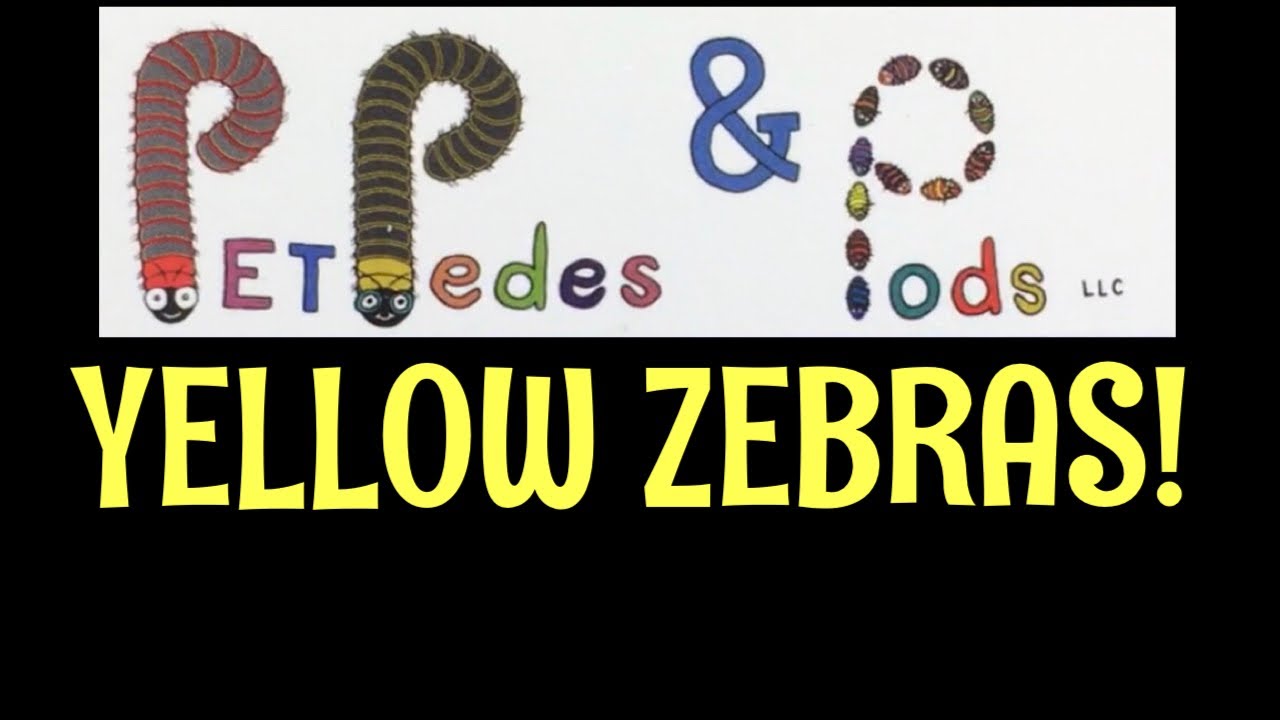 Unboxing YELLOW ZEBRA ISOPODS from Pet Pedes and Pods! - YouTube