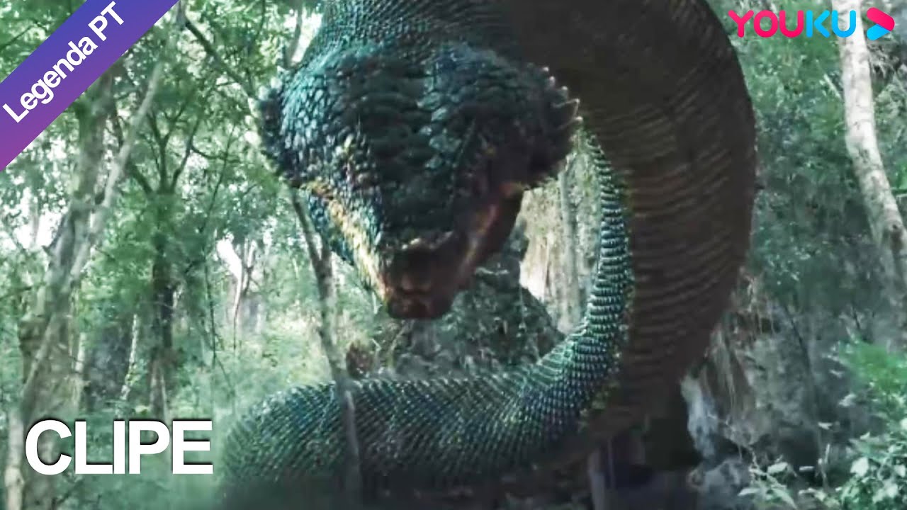 O que vai fazer quando encontrar uma cobra maior que um comboio 😱😱 ...