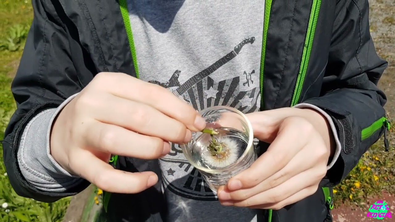 Reto 7. ¿Sabes qué es la hidrofobicidad? - YouTube