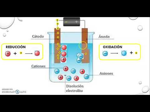 Celda Electrolítica: Funciones y Aplicaciones Esenciales Explicadas