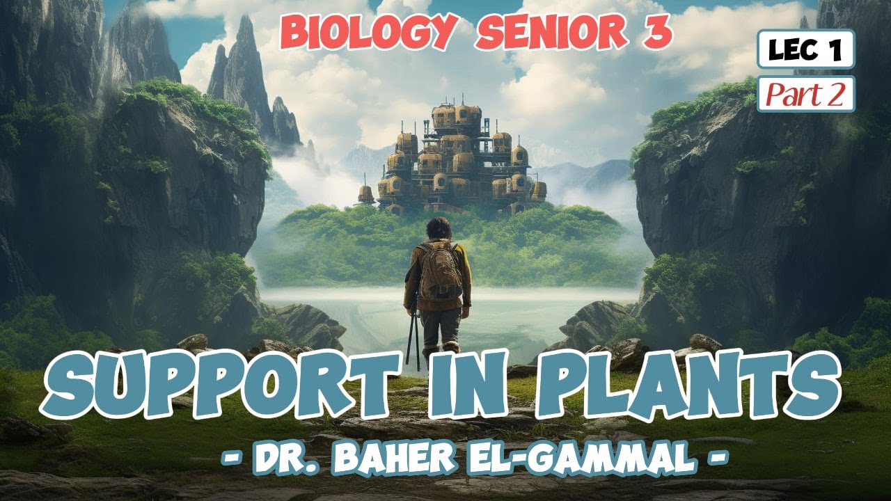 Biology | Senior 3 | Support in Plant 🪴 Part 2 | Advanced Notes ...
