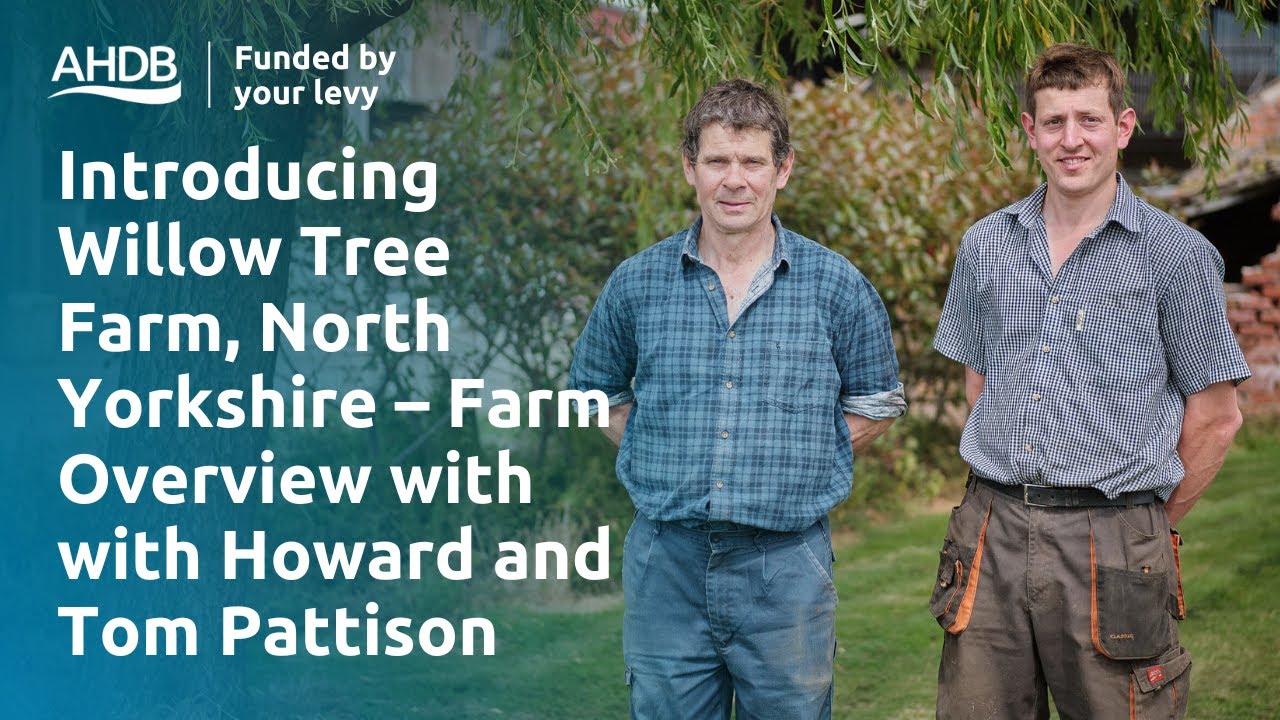 Introducing Willow Tree Farm, North Yorkshire – Farm Overview with Howard and Tom Pattison - YouTube