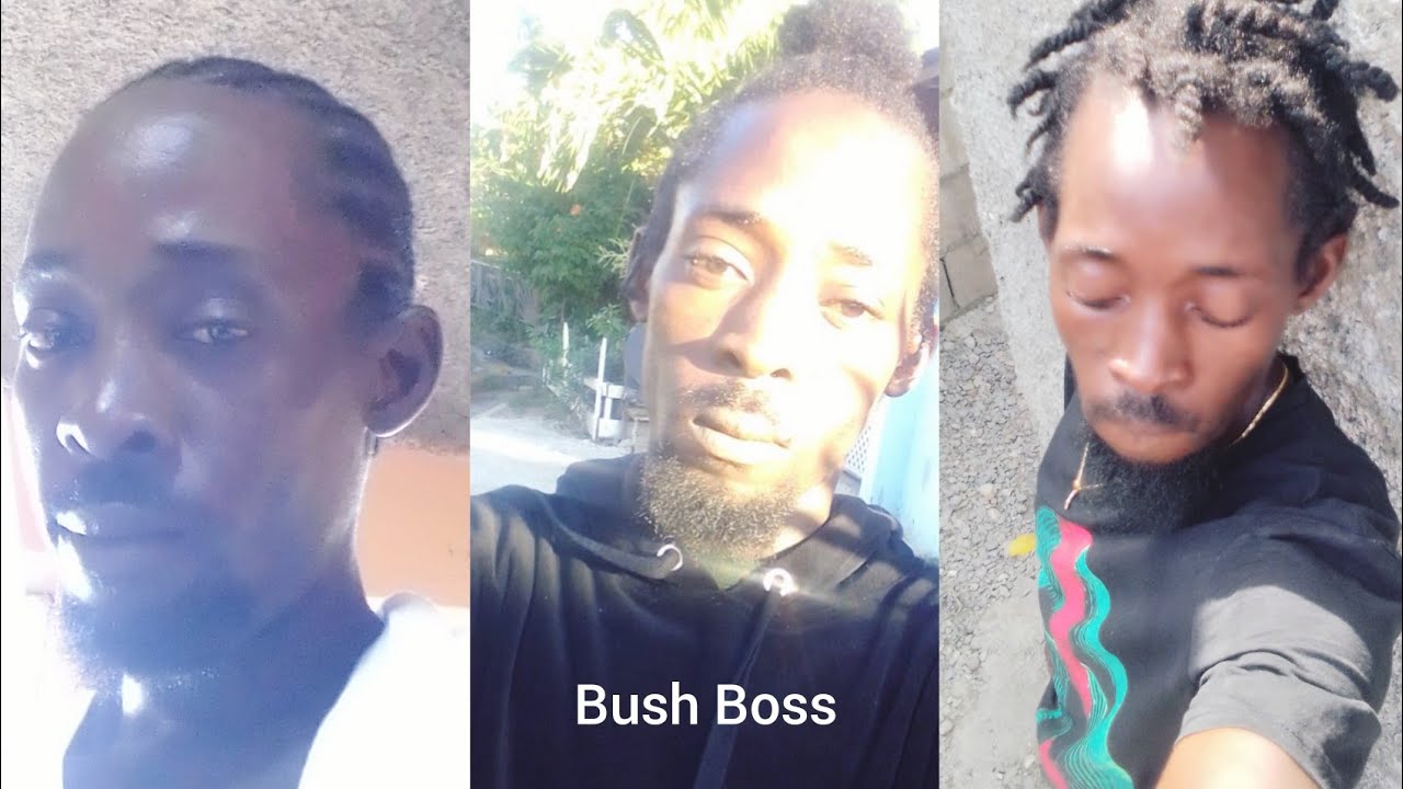 Bush boss Sunday video - YouTube