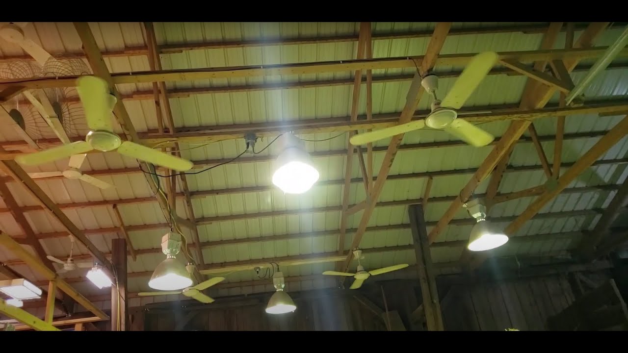 The Metal Barn Industrial/Commercial Ceiling Fan & Vintage Lighting ...