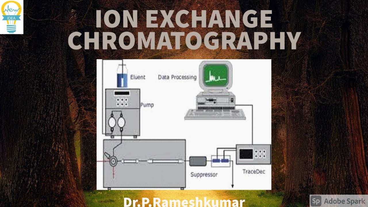 Ion exchange chromatography (IEC) I Instrumentation - YouTube