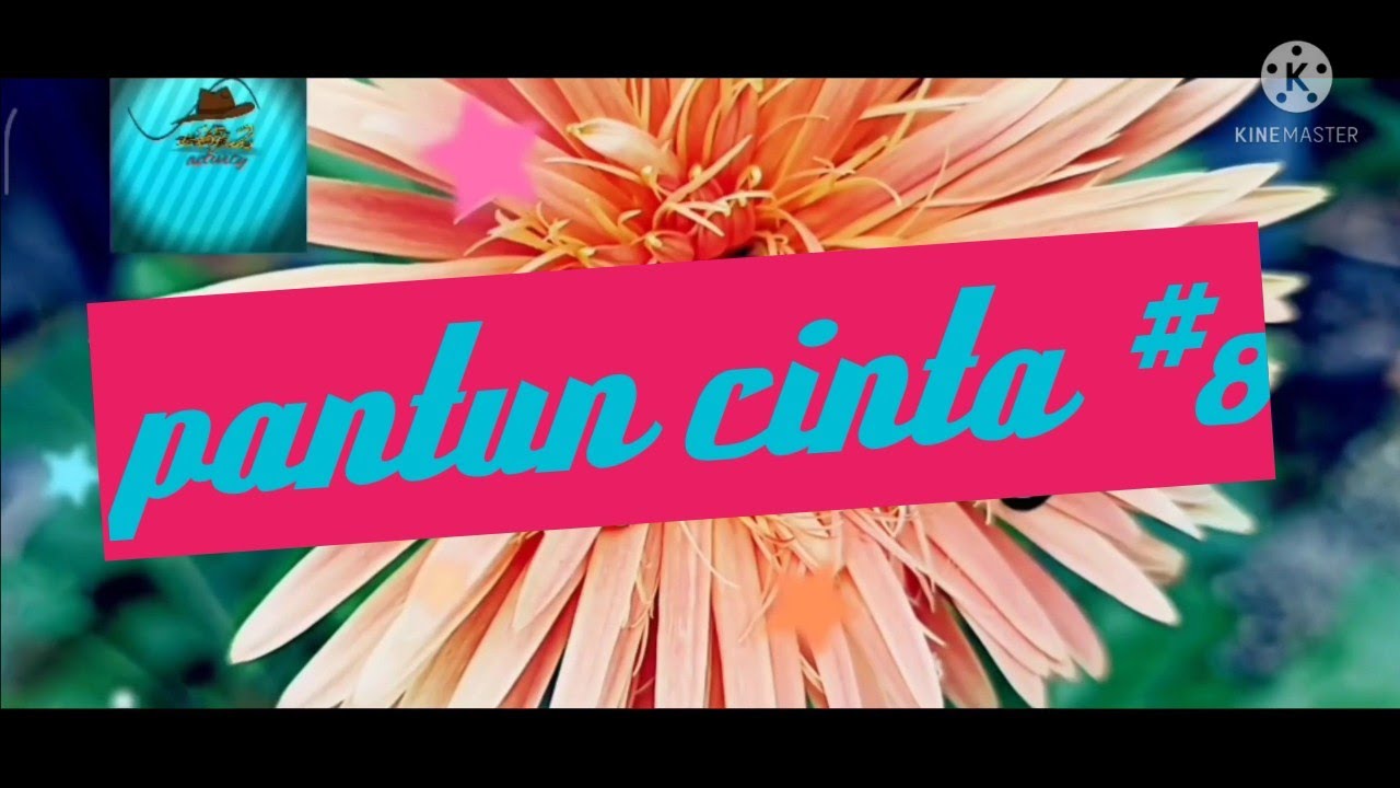pantun cinta. #8.. pantun 4 kerat.. pantun berkasih.. pantun sentap ...