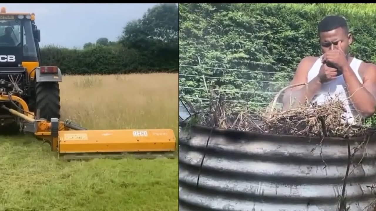 Fekky Purchases His Own Farm | Audio Saviours - YouTube