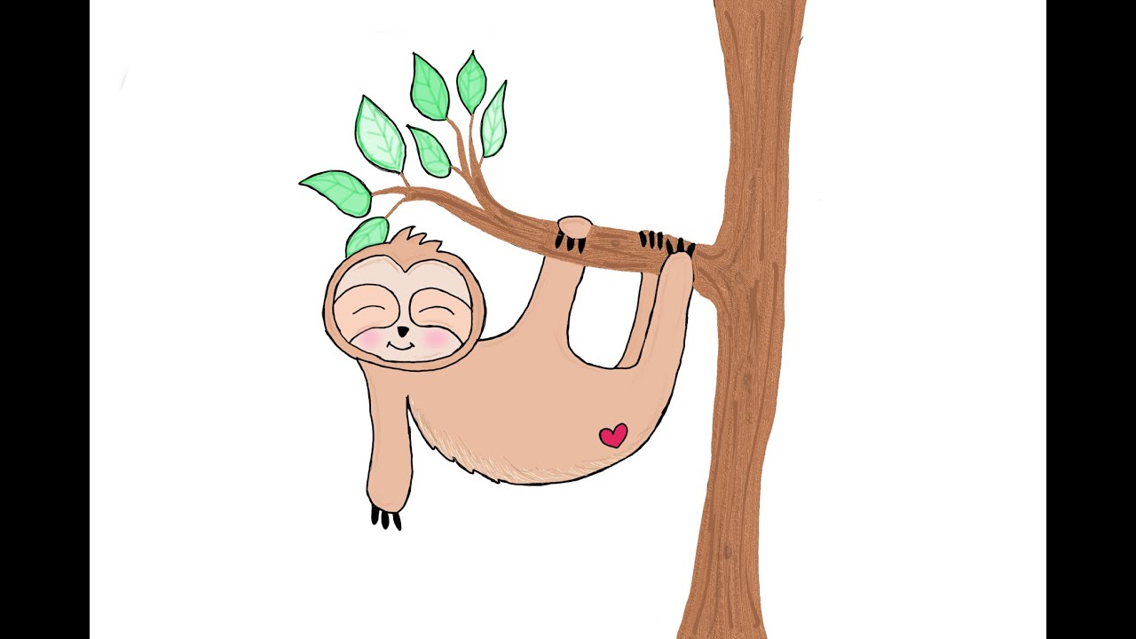 Learn to draw a Cute Sloth - YouTube