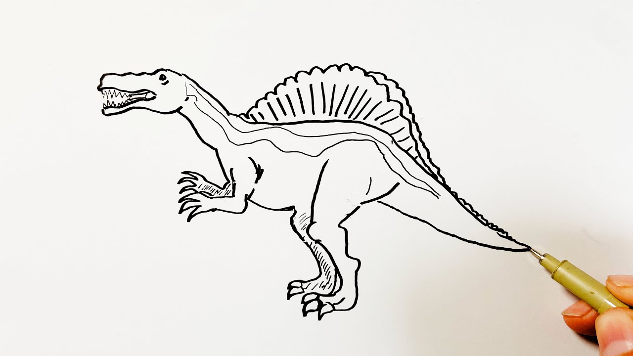 How to Draw a Spinosaurus - YouTube