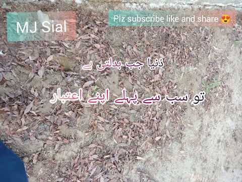 New Whatsapp status /Dunya jb badlti hy/🥲