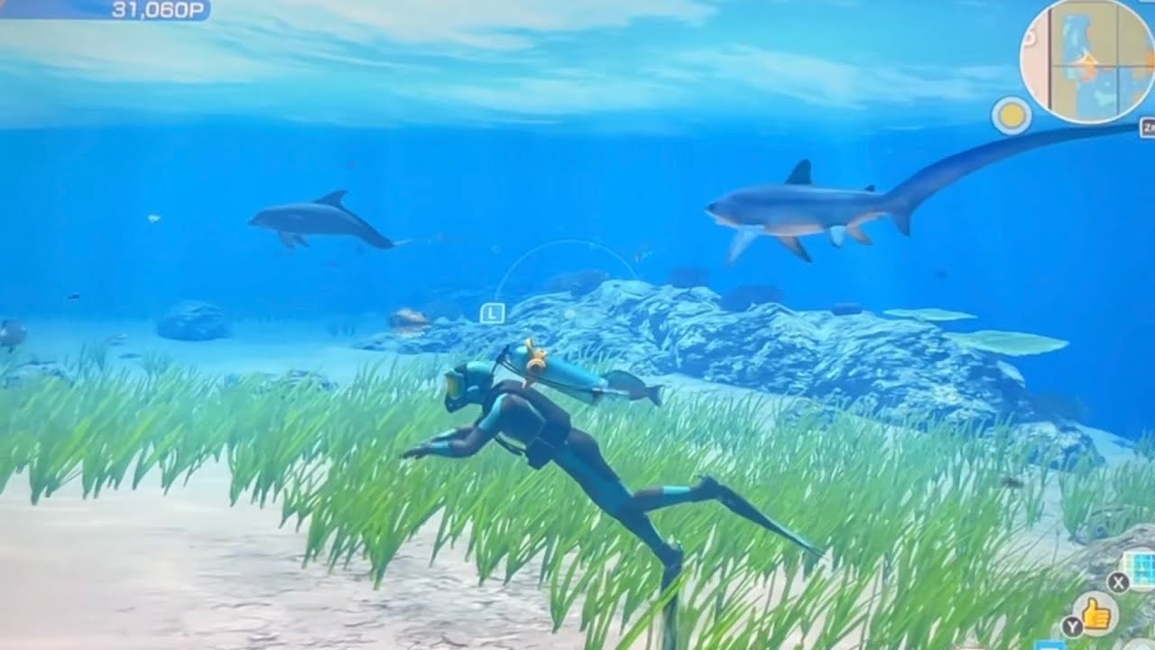Endless Ocean Luminous - Bottlenose Dolphins and Pelagic Thresher Shark ...