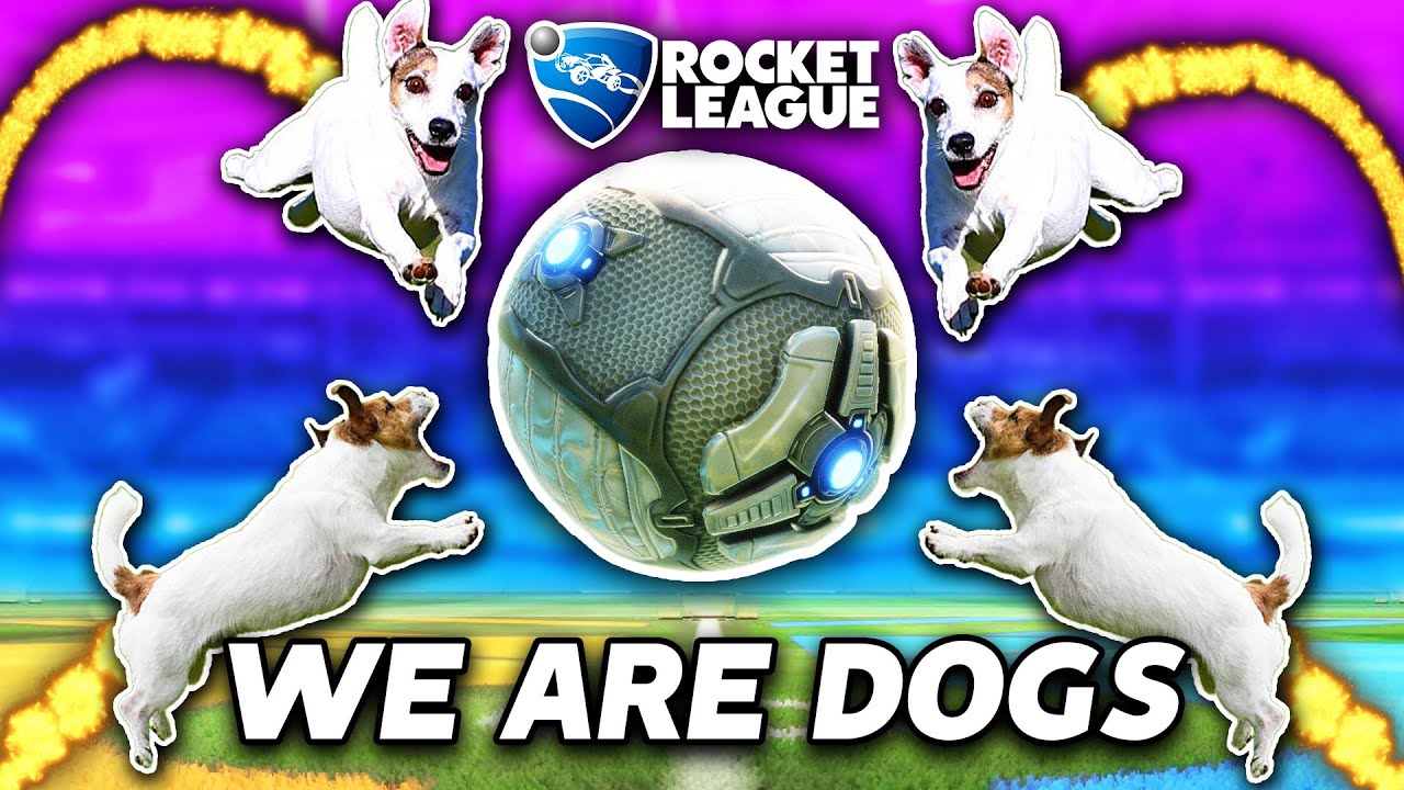 ROCKET LEAGUE, BUT WE'RE ALL DOGS - YouTube