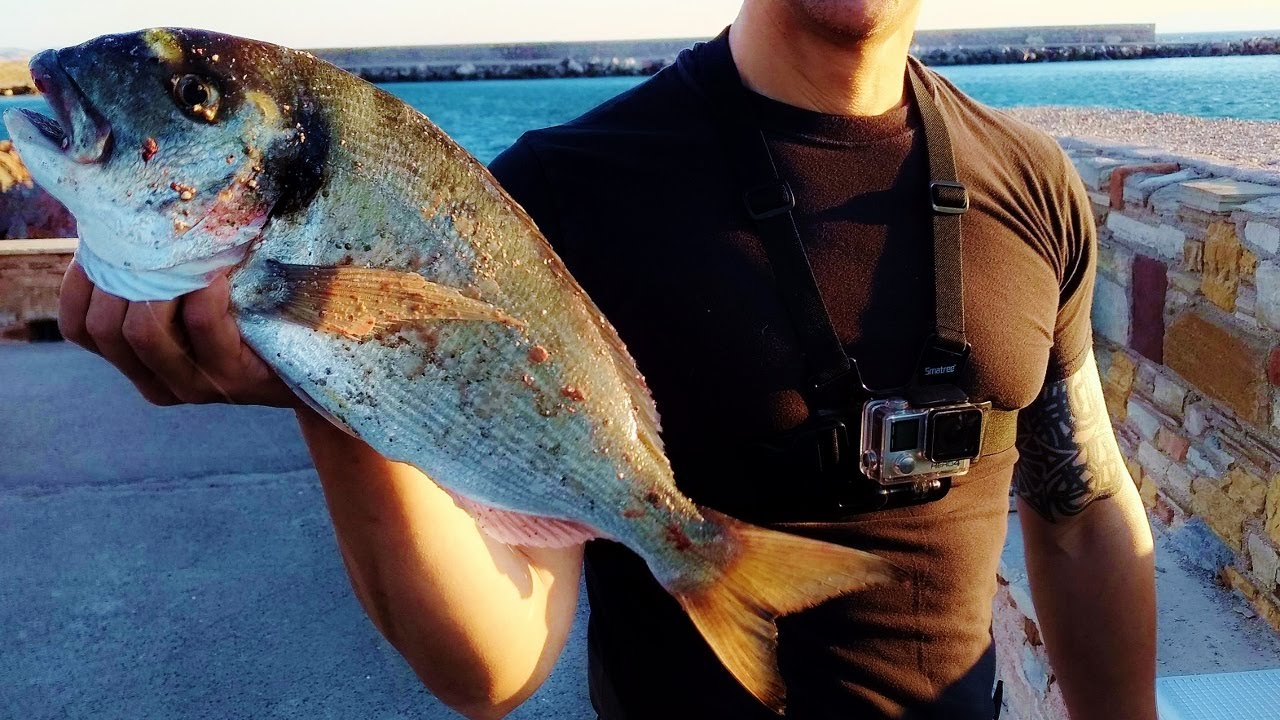 ΨΑΡΕΜΑ ΓΙΑ ΤΣΙΠΟΥΡΕΣ ΤΟ ΞΗΜΕΡΩΜΑ ΣΤΗ ΧΙΟ (FISHING FOR GILT-HEAD ...