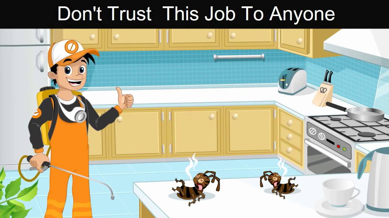 Pest Control Carton DEMO Commercial - YouTube