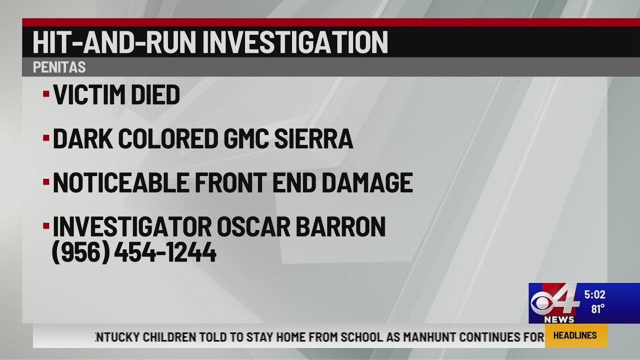 Hit and run investigation - YouTube