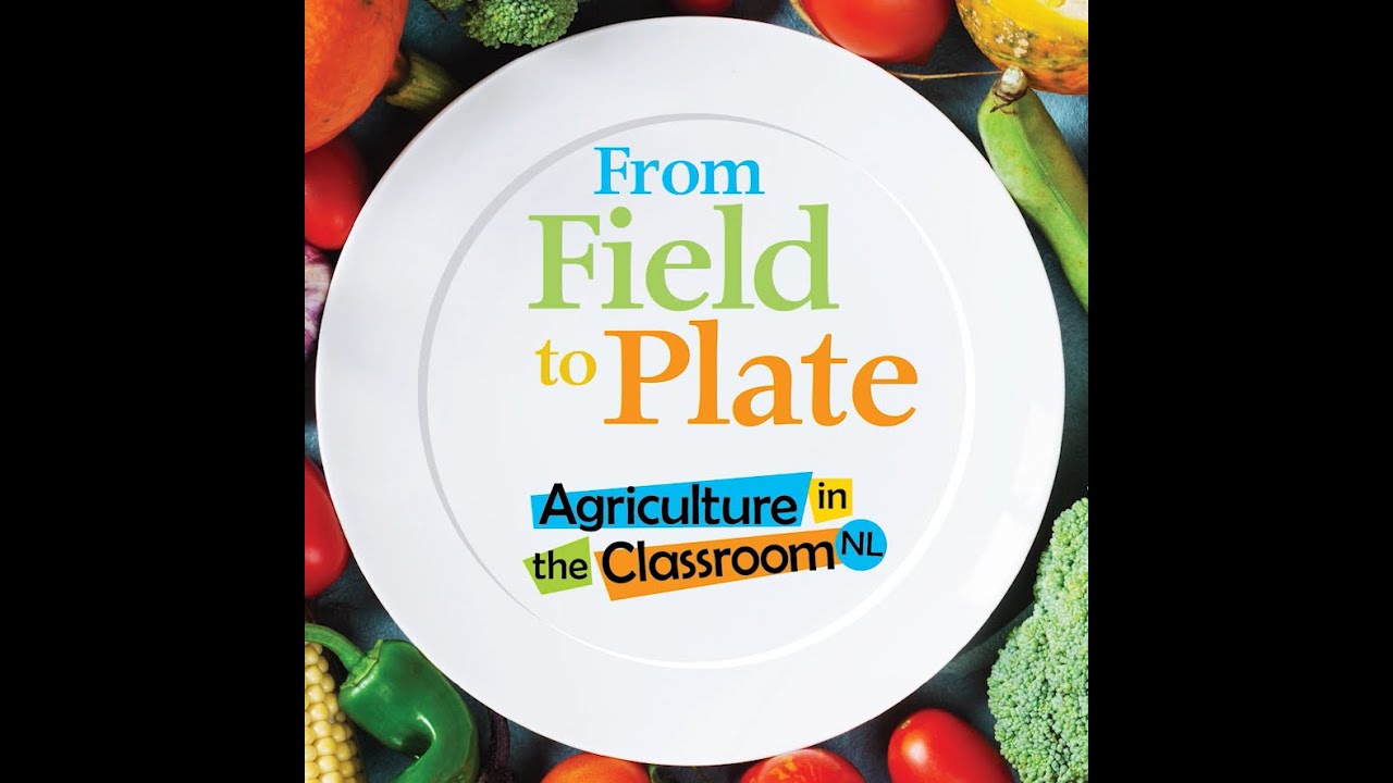 Agriculture in the Classroom NL presents Field to Plate! - YouTube