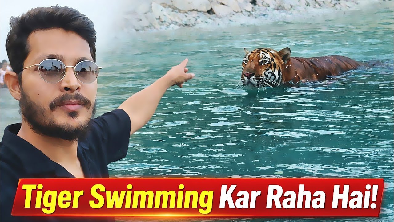 Tiger Swimming Kar Raha Hai 🐅 | Aisa Scene Pehli Baar Dekha 😱 - YouTube