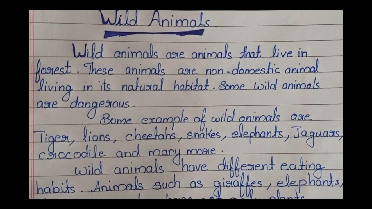 Wild Animals essay in english. - YouTube