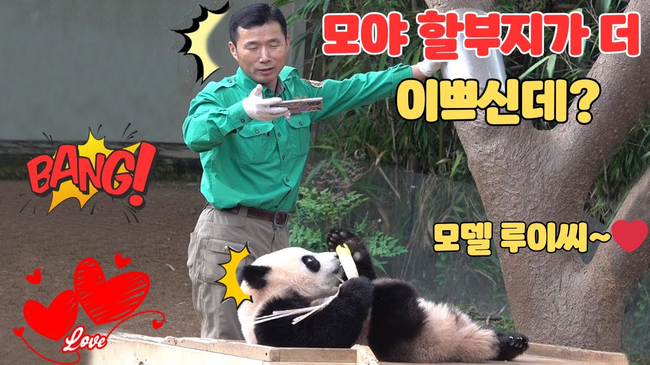 강바오님 오디오 들리지 않나요ㅋㅋㅋ🤣🤣🤣 “자 루이씨 압빠를 닮았네요 누워서 먹기 옹뇽뇽뇽뇽” Youtube