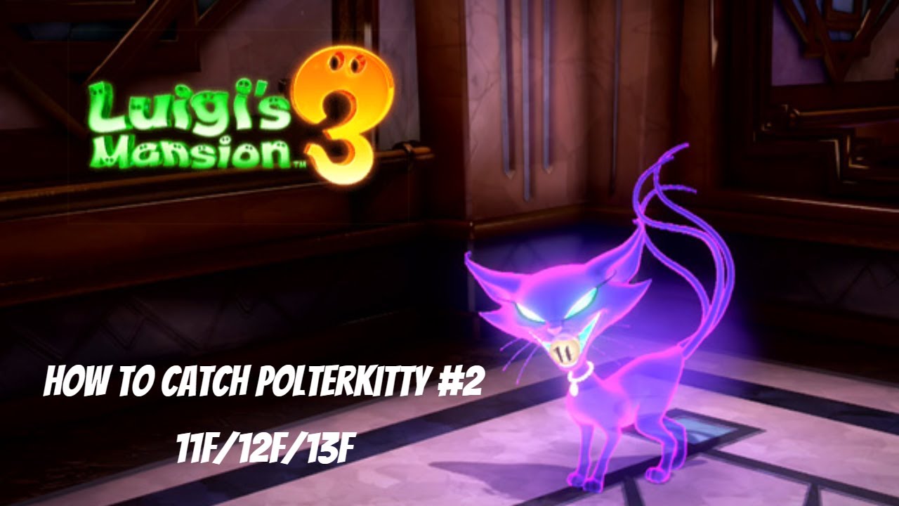 Luigi's Mansion 3: 13F/12F/11F How to Catch Polterkitty playthrough ...