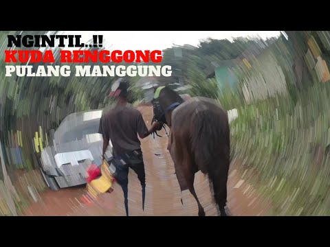 NGINTIL KUDA RENGGONG PULANG MANGGUNG