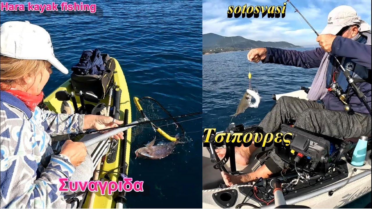 Τσιπουρες βγαζουμε σημερα Συναγριδα η Χαρα ψαρεμα με καγιακ - YouTube