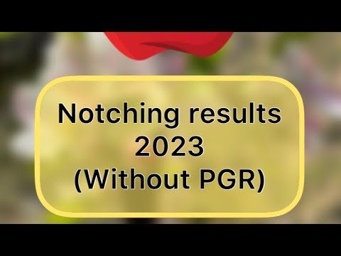 Notching results on M9 and M106 HDP apple rootstocks - YouTube