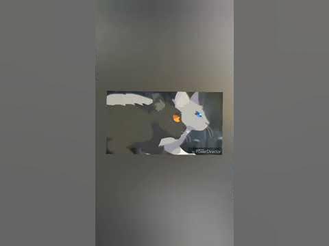 Коты воители Серое крыло и Чистое небо - YouTube