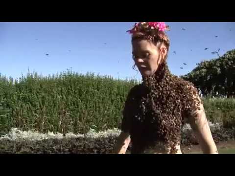 Bee Queen Bee Dancer - YouTube