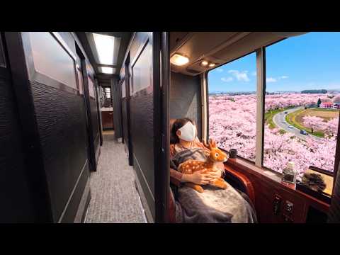 Japonya'nın Gece Boyu Birinci Sınıf Kapsül Otobüsüyle 2 Günlük Kiraz Çiçeği Gezisi 🌸| Tokyo - Nara🇯🇵