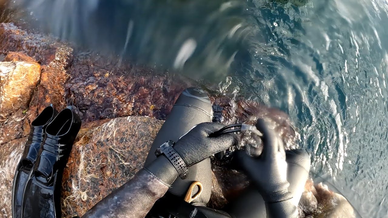 In Murky Water - Spearfishing in Norway - Spring Is Here - YouTube
