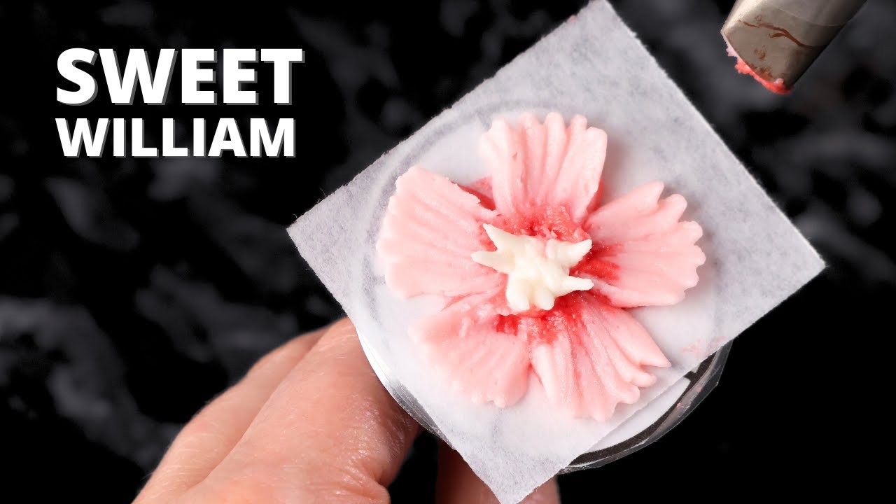 How to pipe buttercream Sweet William [ Cake Decorating For Beginners ...