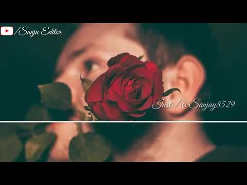 sad shayari and love shayari WhatsApp status