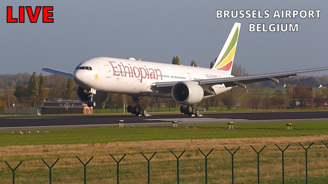 LIVE @ BRUSSELS AIRPORT BELGIUM EBBR PLANE SPOTTING | 14/11/2022 - YouTube