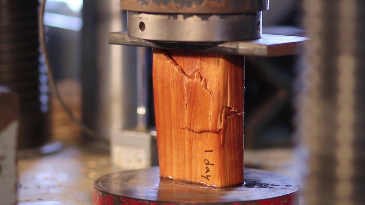 CE113 CSUS Wood Lab - The Effects of Water Content on the Strength of ...