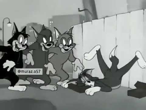 WhatsApp bandit status