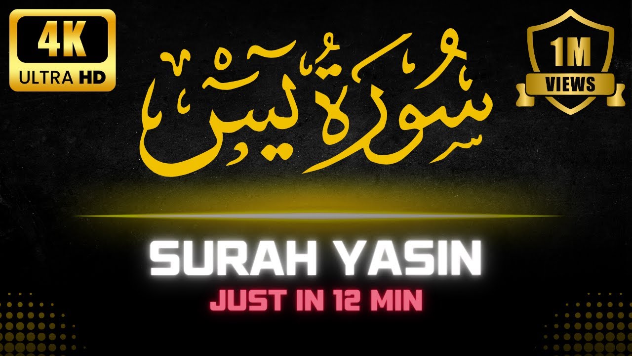 Live Surah Yasin Yaseen By Saad Hassan Full With Arabic Text 4K