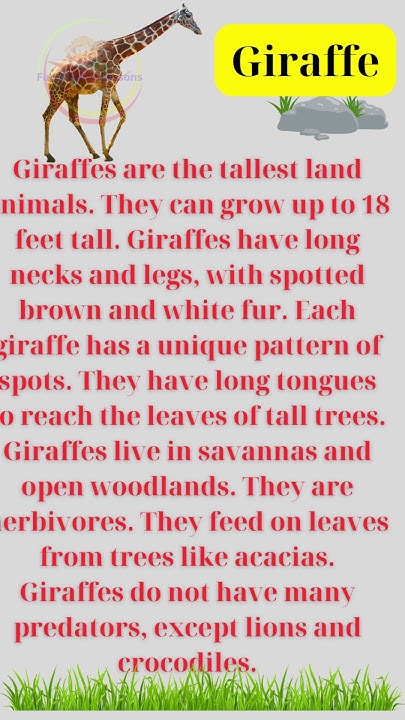Explore the Animal Kingdom: Learn English vocabulary through giraffes ...