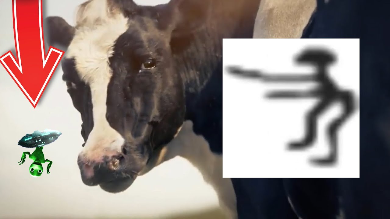 dancing alien has disappeared! cows dancing a cbat #2 - YouTube