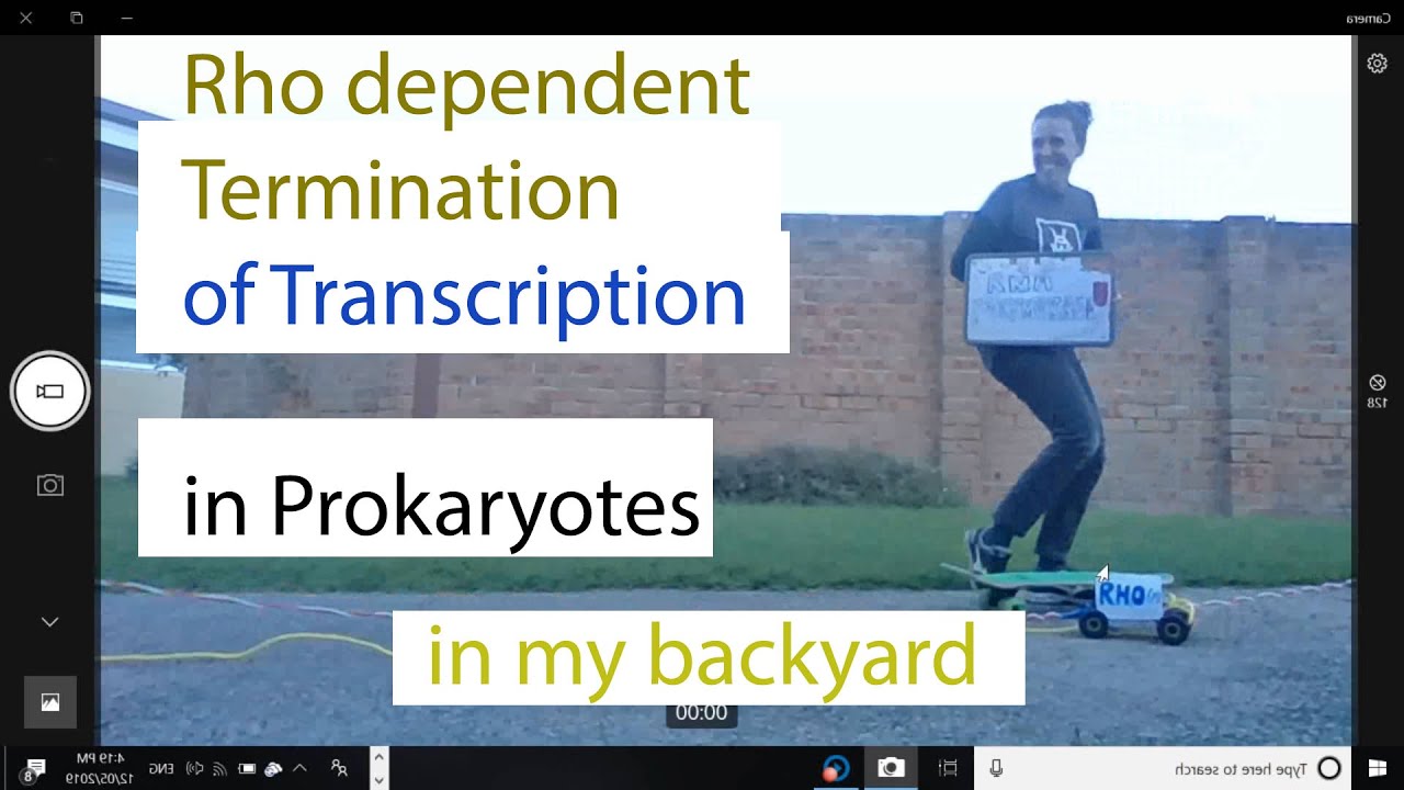 Rho dependent transcription termination in prokaryotes - YouTube