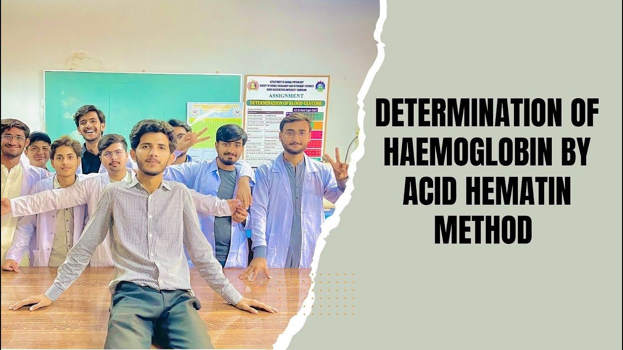 HOW TO DETERMINE HAEMOGLOBIN? DETERMINATION OF HB - YouTube